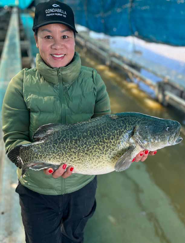 Hatcheries - The Aquaculture Association of Queensland